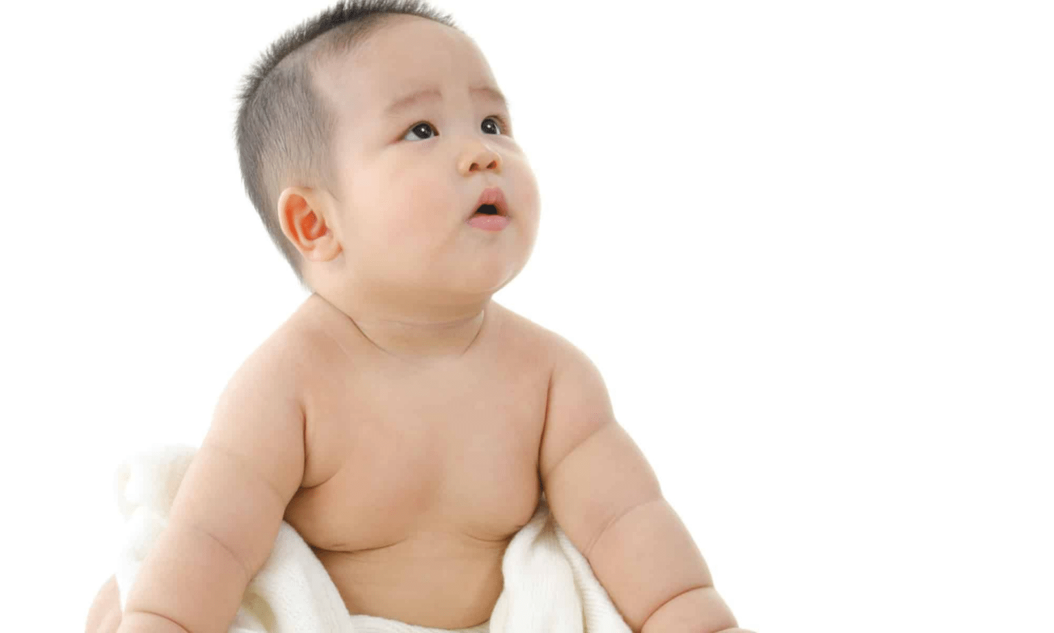 What Is The Heaviest Baby Ever Born