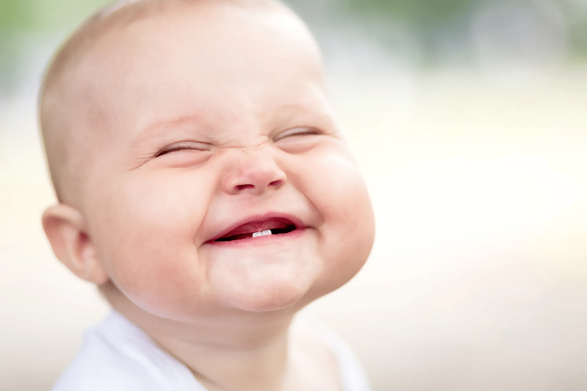 Are Babies Born With Teeth In Their Skull